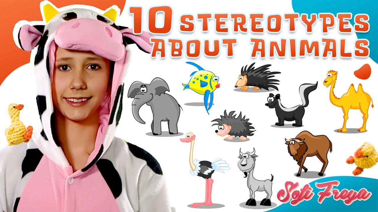 10 Stereotypes About Animals stereotypes, animals, interesting facts ...