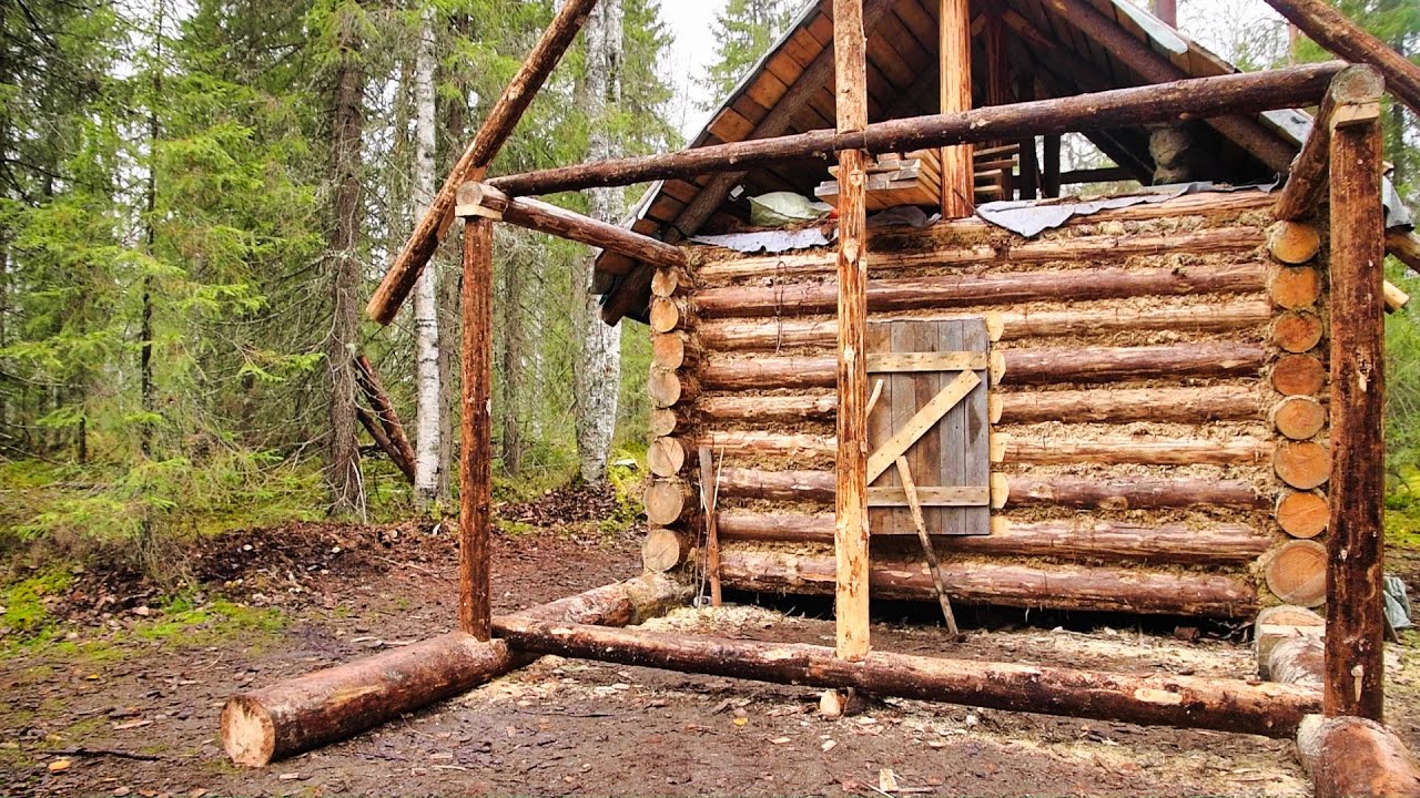 Building an Off Grid Log Cabin. Wild Life in the Forest - YouTube