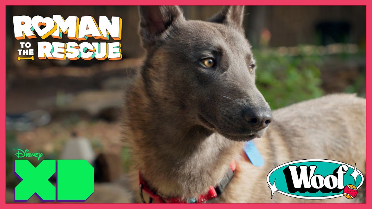 Asher's Adoption | Roman to the Rescue | @disneychannel x @TheDodoKids ...