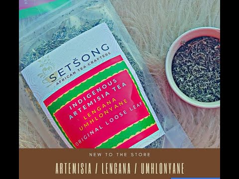 Artemisia / Lengana / Umhlonyane #Tea in #CapeTown - YouTube