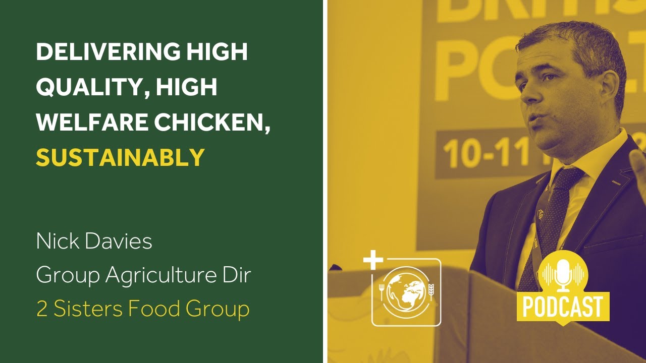 Delivering high quality, high welfare chicken, sustainably Nick Davies ...