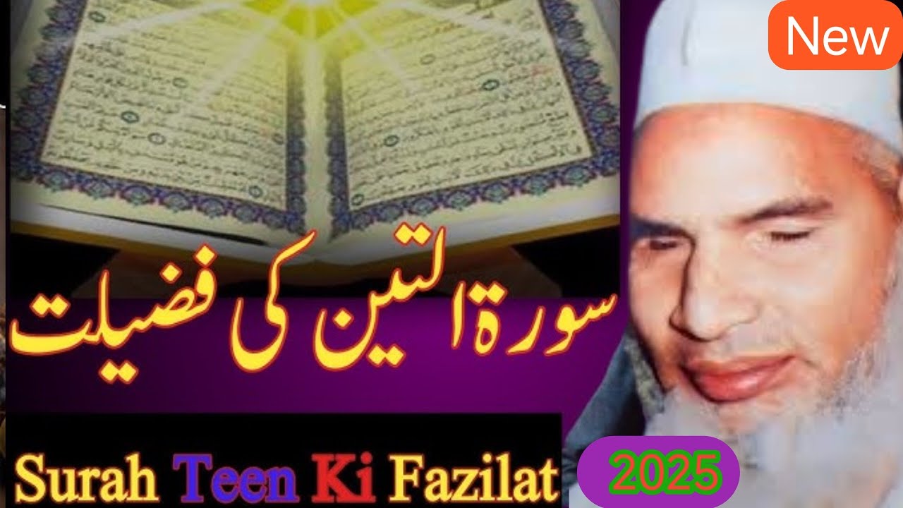 The Great Importance Of Surah At-Tin (The Fig) | Surah At Tin Miracles ...