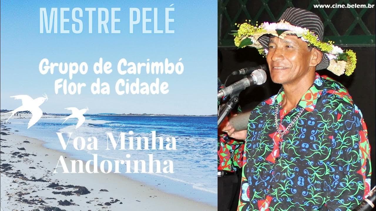 VOA MINHA ANDORINHA / MESTRE PELÉ | CARIMBÓ FLOR DA CIDADE 2023 MARAPANIM PA - YouTube