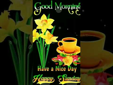Happy Sunday WhatsApp Status Video #sunday #goodmorning #goodmorningvideo