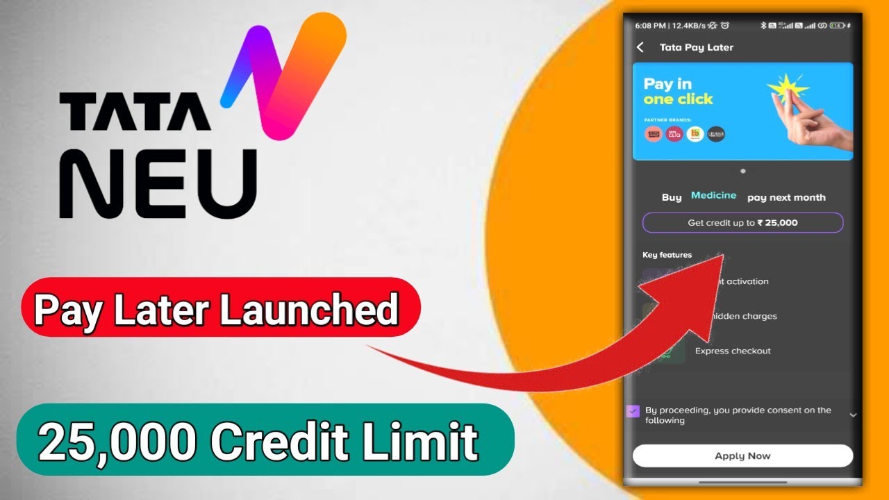 tata neu pay later |tata neu pay later apply process - YouTube