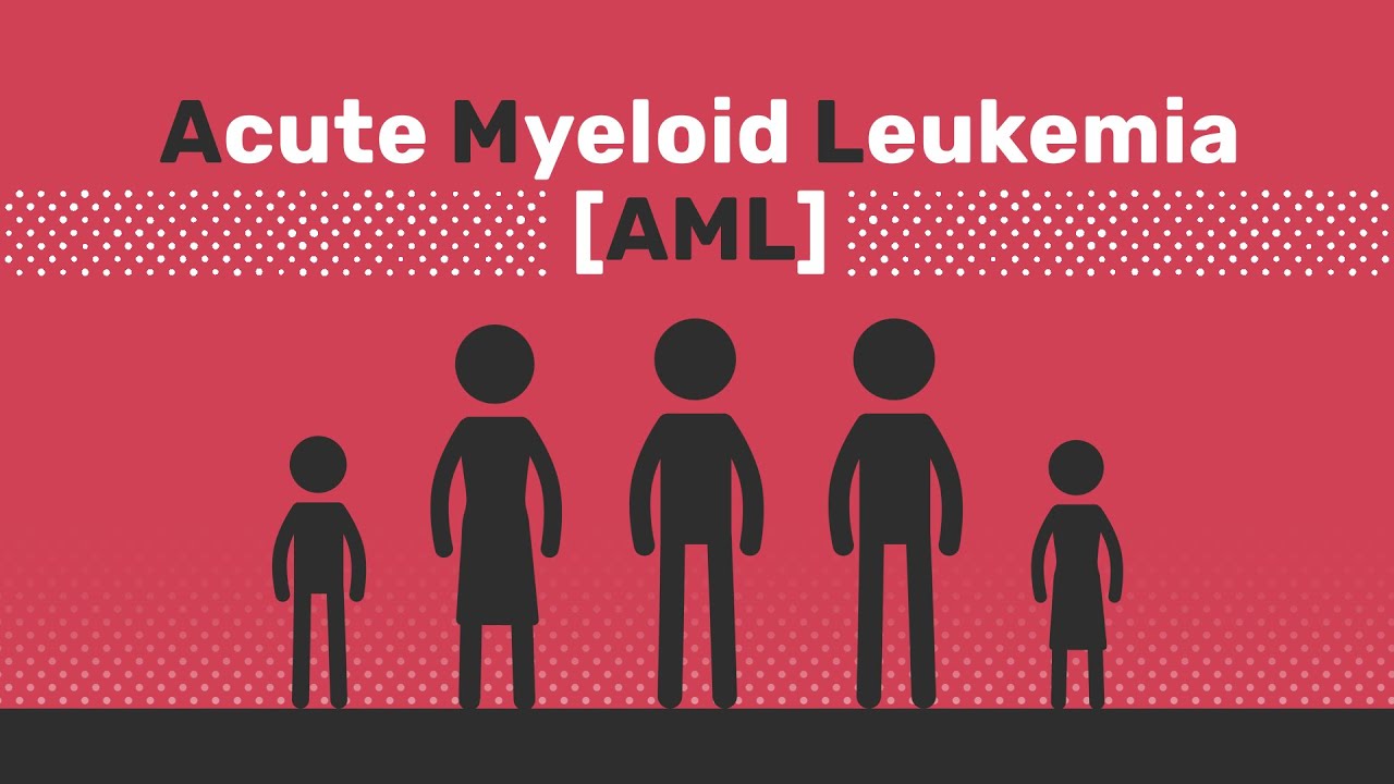 Know AML | Acute Myeloid Leukemia Overview - YouTube