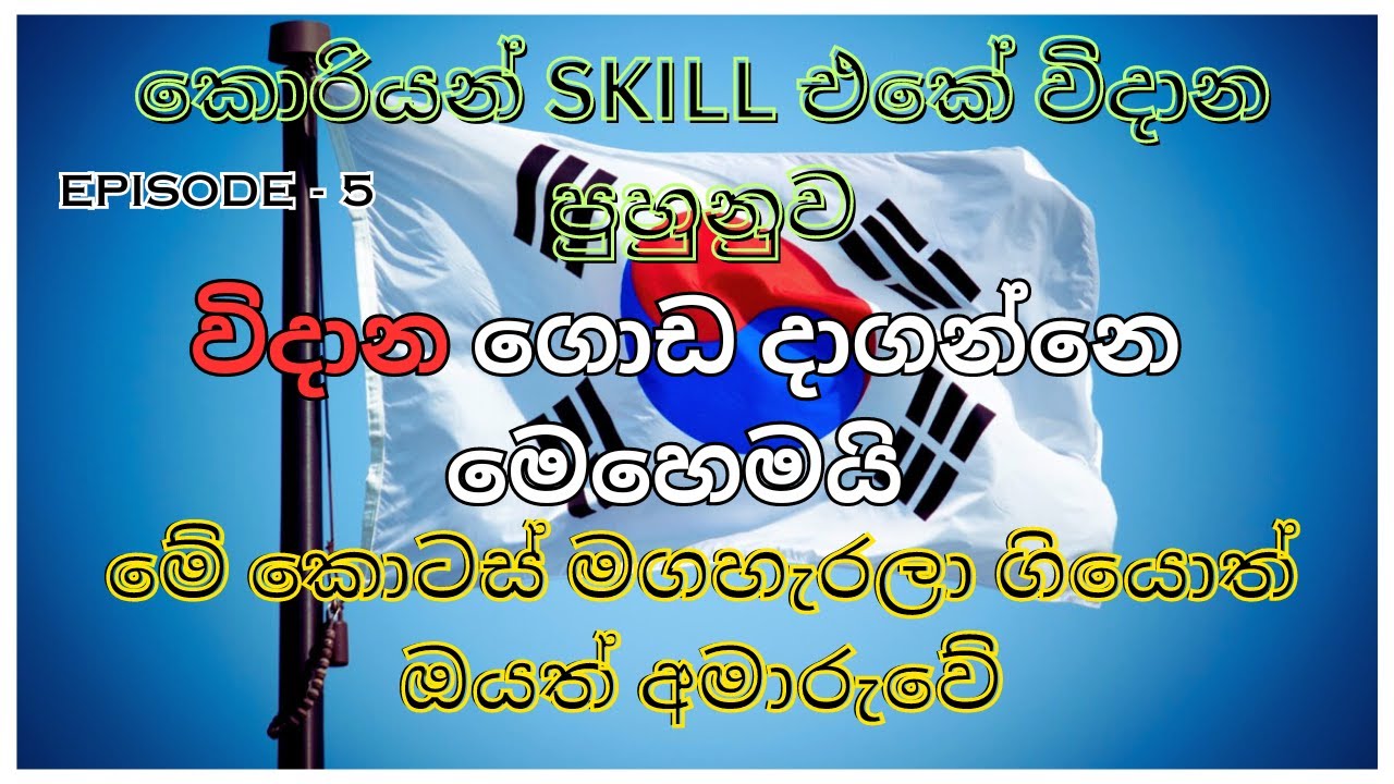Korean skill test විදාන ප්‍රශ්න පුහුනුව | Korean skill test 2024 ...