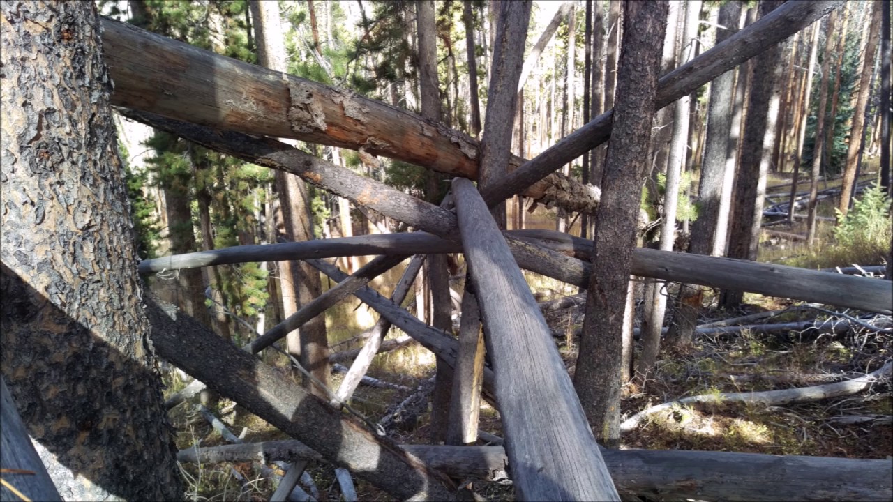 Some The Best Sasquatch/Bigfoot Structures ever seen - YouTube