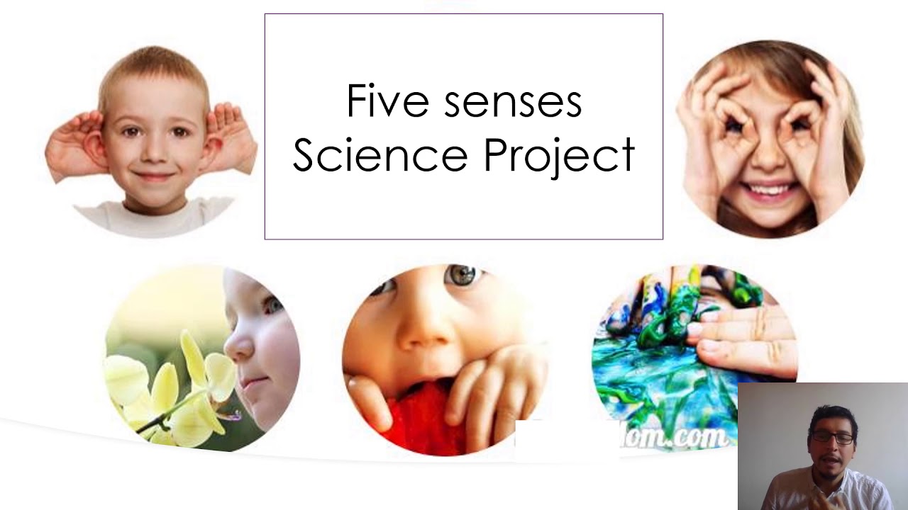 Science - "My five scence - project". First Grade. Colegio Tabancura ...