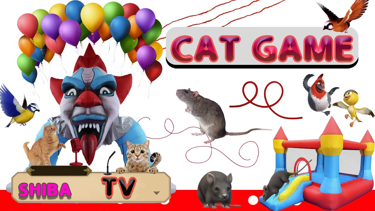 CAT GAME | Ultimate Cat TV Compilation Vol 13 | 1 HOURS | Fun ...