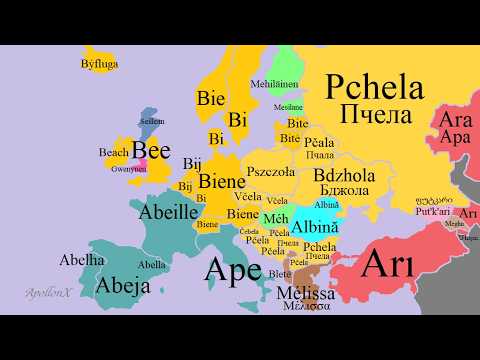 Böcekler | Avrupa Dilleri Karşılaştırması
