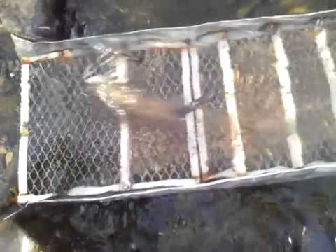 my home made sluice with vortex matting - YouTube