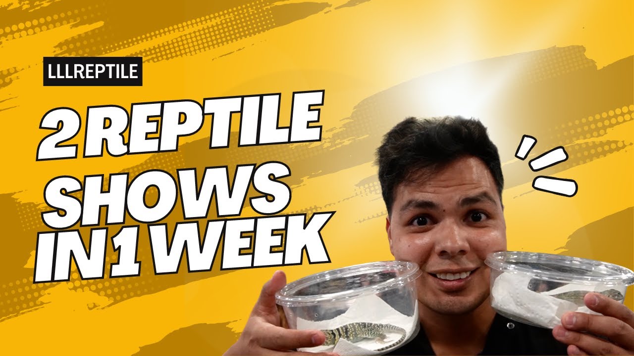 2 SHOWS IN 1 WEEK - YouTube