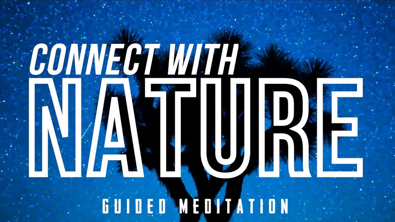 Guided Nature Meditation to Connect with Mother Earth and Gaia 🌎 ...