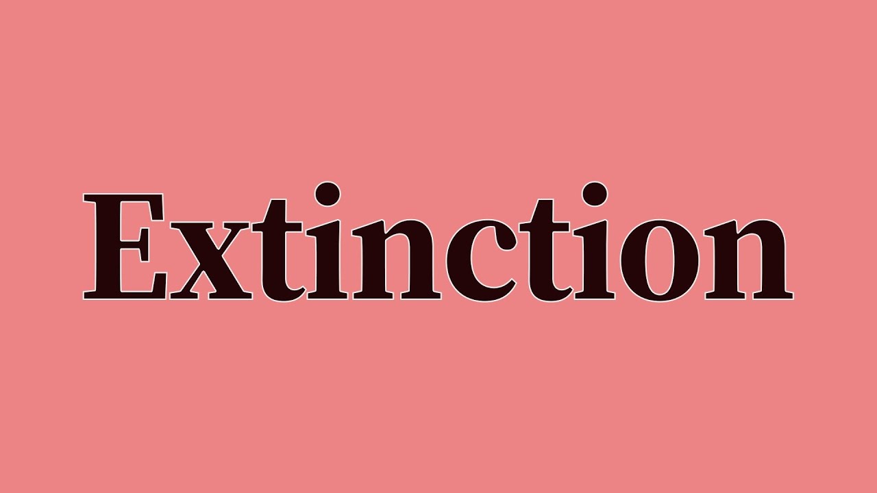 Extinction Pronunciation and Meaning - YouTube