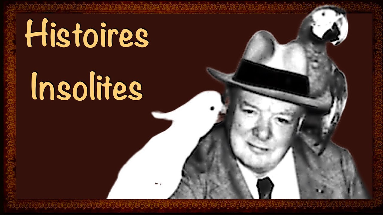 Le Perroquet centenaire de Winston Churchill (H I #1) - YouTube