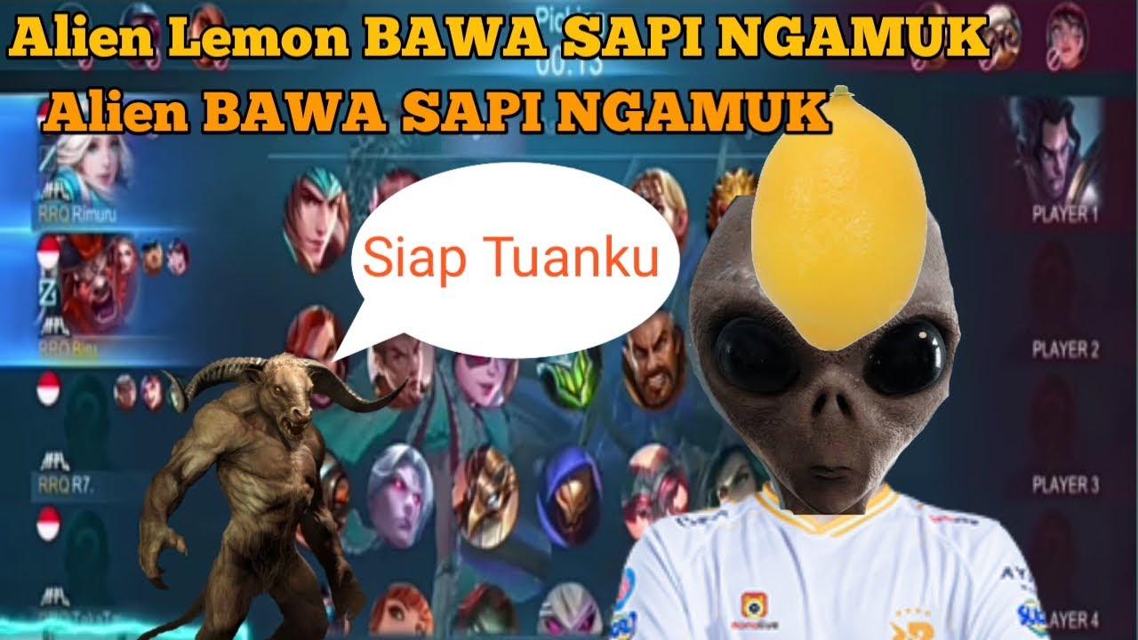 Lemon 🍋Bawa Sapi Dari luar Angkasa..LEMON DI REMEHKAN 📛. Sapinya ngamuk ...