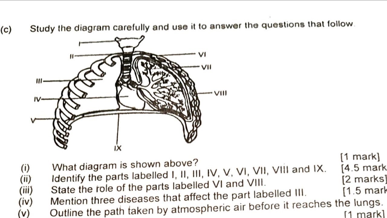 2024 BECE Integrated Science Likely Questions and Answers - YouTube