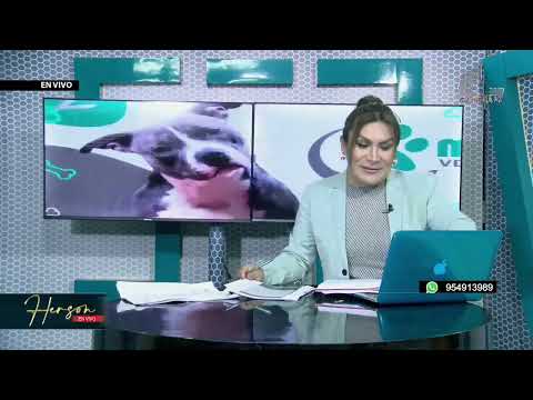 PROGRAMA COMPLETO HERSON EN VIVO - 15 DE OCTUBRE - YouTube