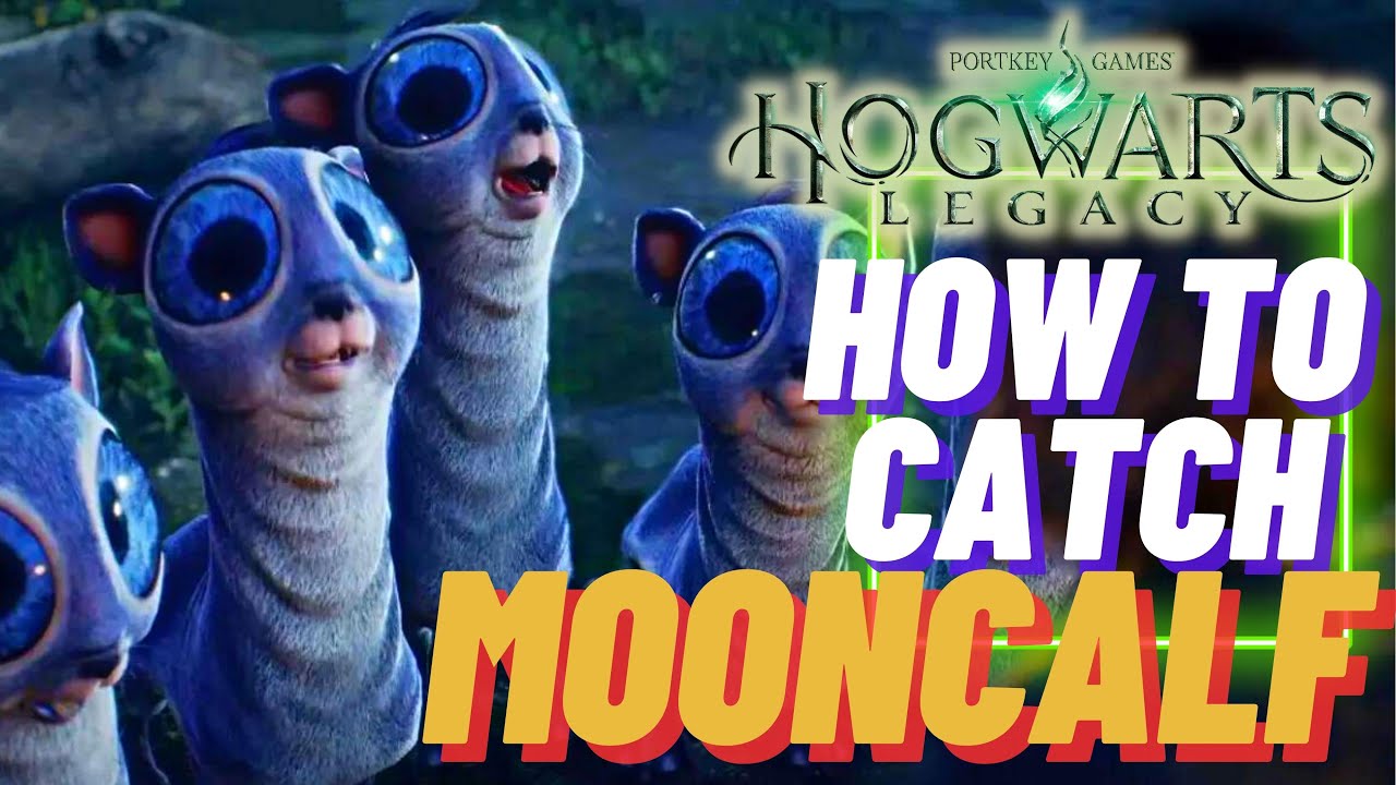 Hogwart legacy : How To Get a MOONCALF - YouTube