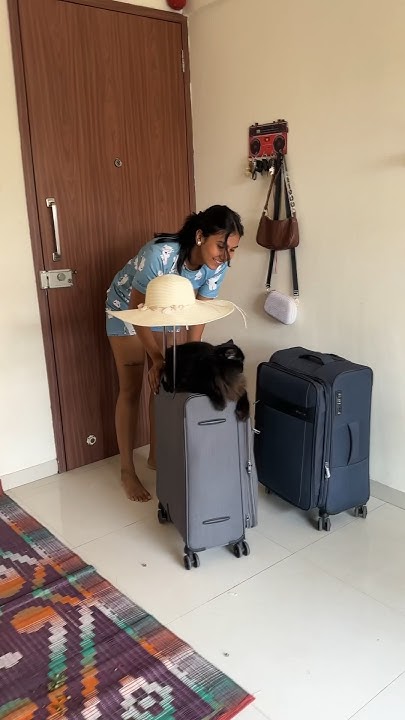🐱 Cat Catlover Chloe Feline Youtube