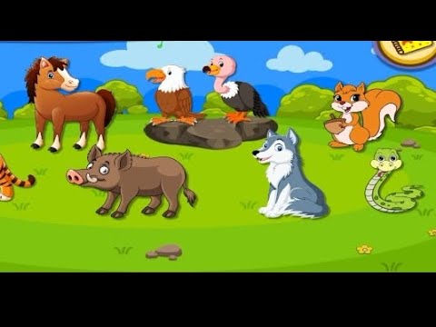 Different animal sounds and transport vehicle sounds - YouTube