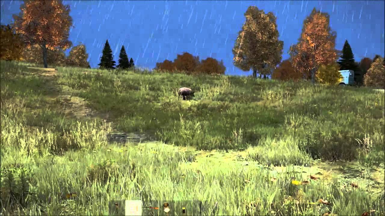 DayZ: Pigs! - YouTube