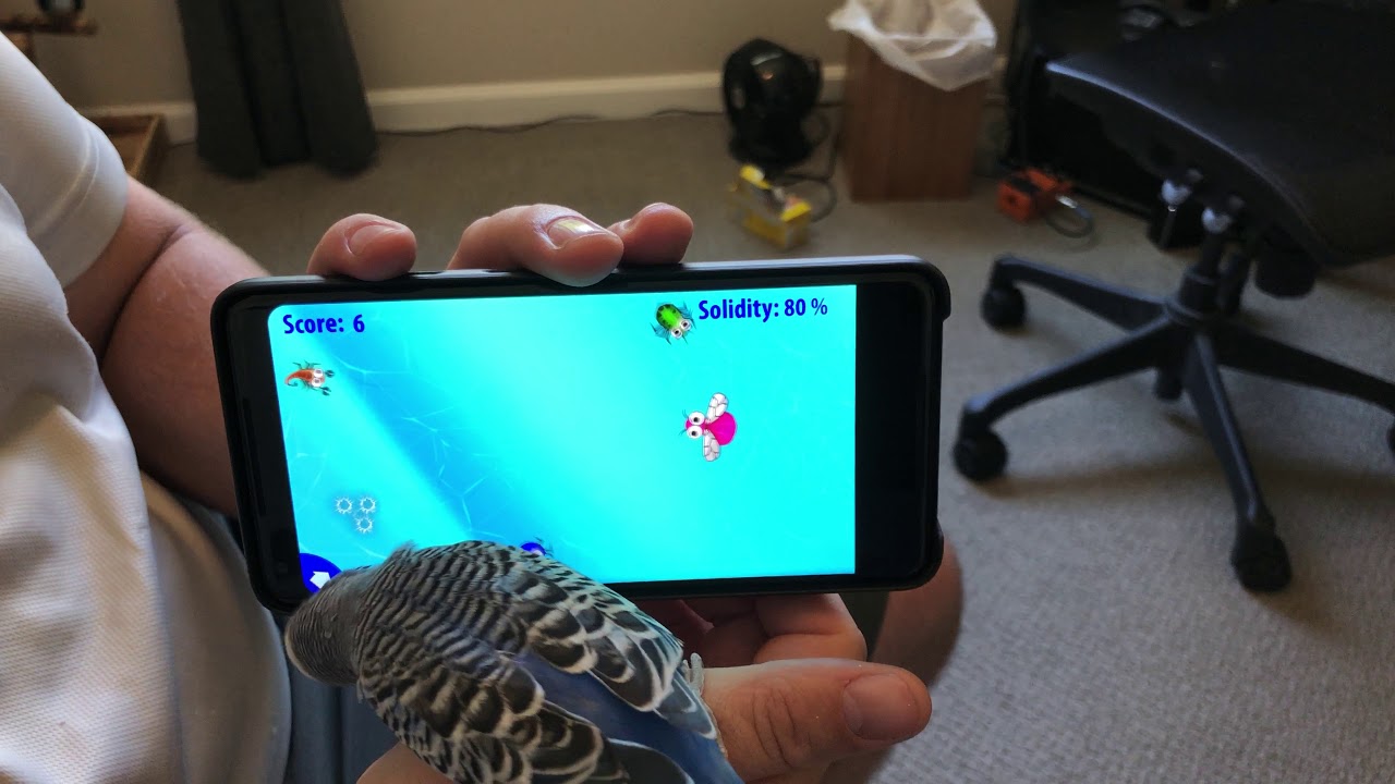 Pixel the Parakeet Plays Smartphone Game - YouTube
