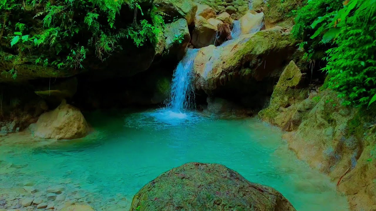 Forest Stream Relaxing Waterfall Sounds to relieve stress, for sleep ...