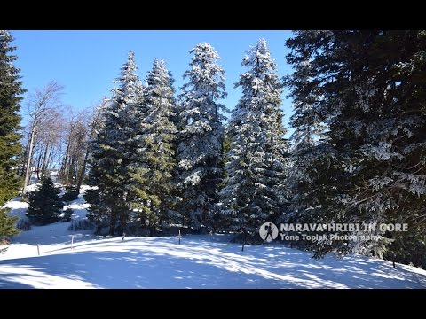 Menina planina marec 2017
