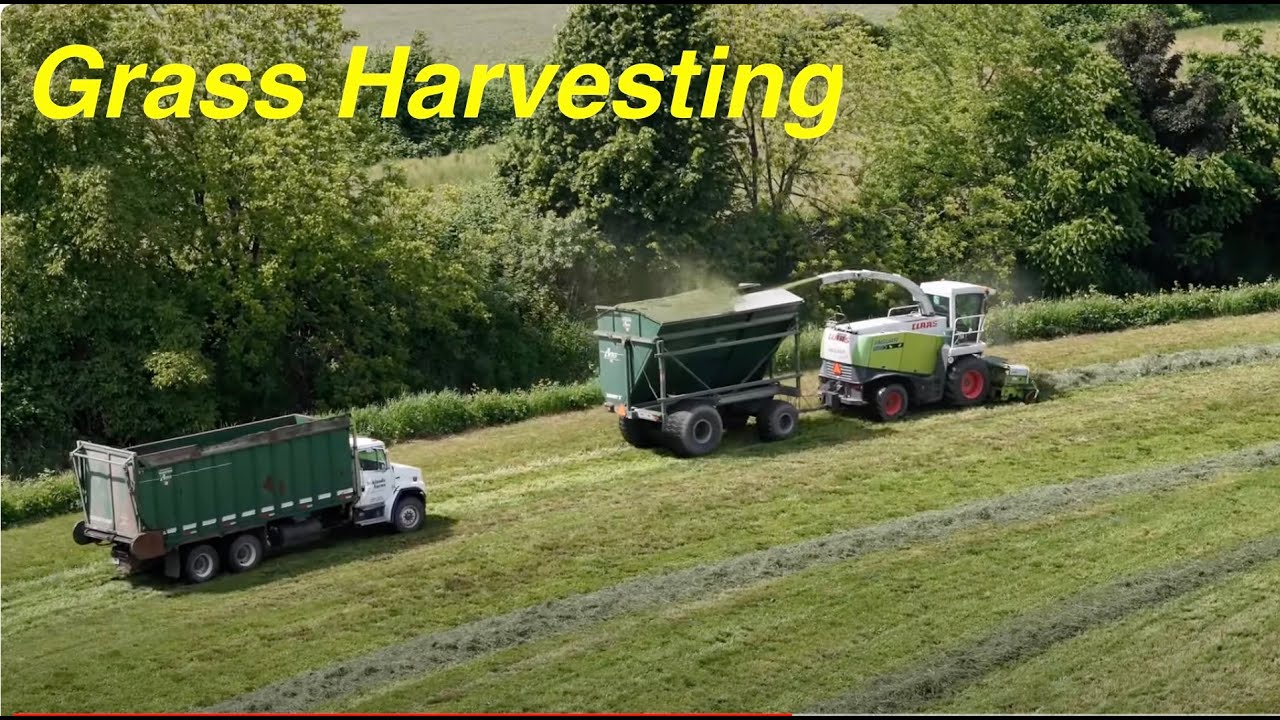 GRASS HARVESTING FOR DAIRY FARM USE. VERY EFFICIENT MECHANIZED MOWING ...