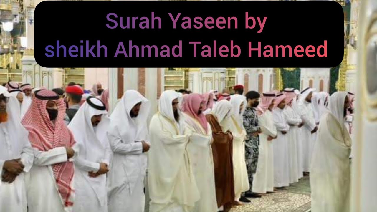 Surah Yaseen by Sheikh Ahmad Taleb Hameed - YouTube