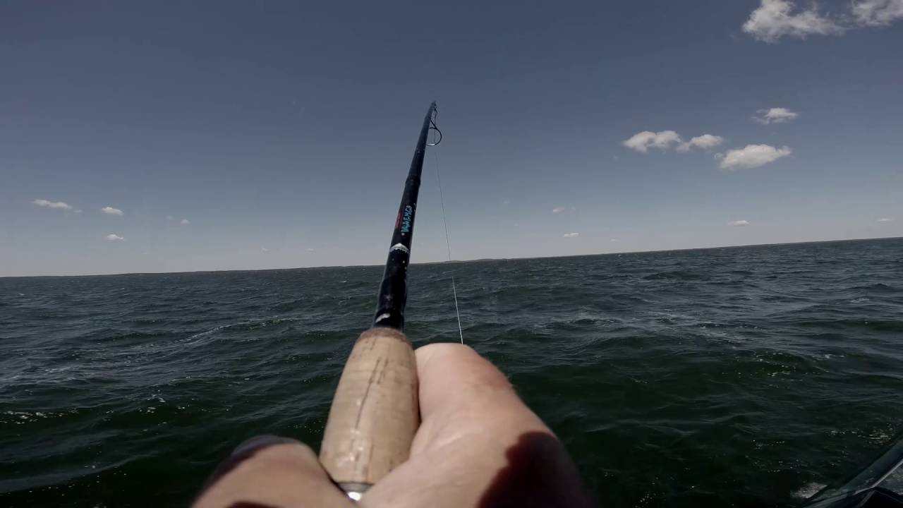 Tony Roach Fishing Report Mille Lacs Lake Early July 2016 - YouTube