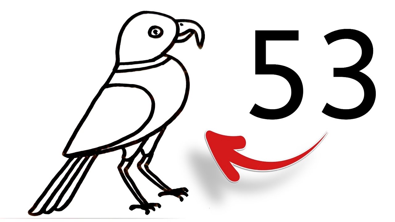 How to draw a Parrot | Draw a Parrot from number 53 | Parrot drawing ...