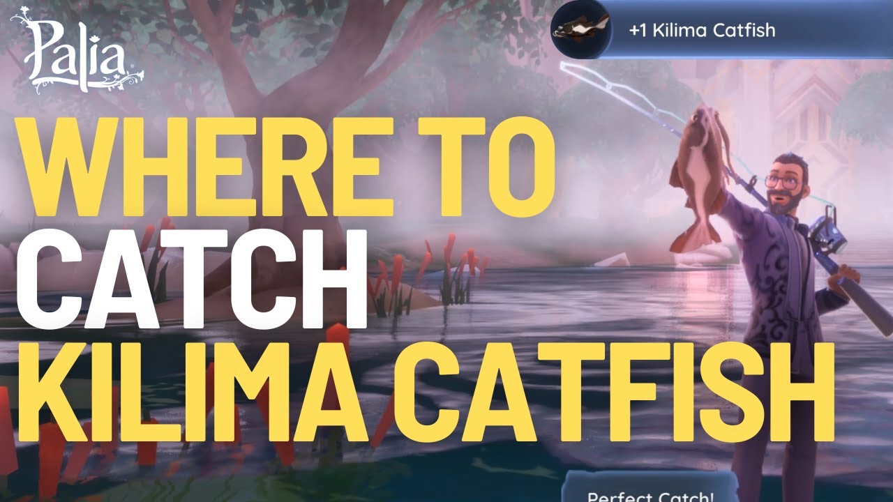 Where to Catch the Kilima Catfish in Palia 2025 - YouTube