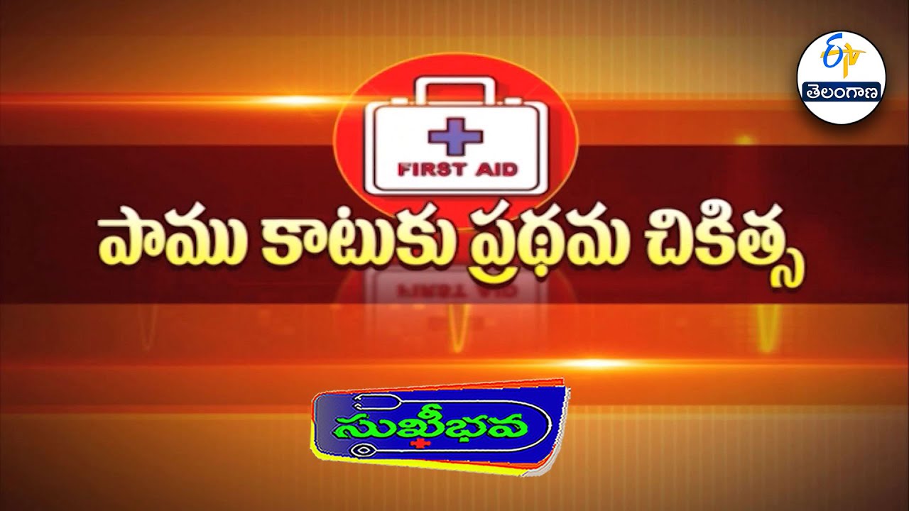 పాము కాటుకు ప్రథమ చికిత్సేంటి ? | First Aid for Snake bite | Sukhibhava ...