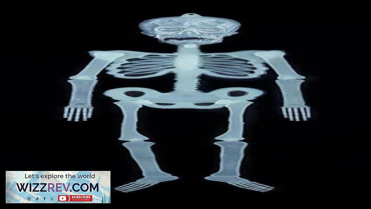 Hanging Glow In The Dark Skeleton Spooky Party Ceiling String ...