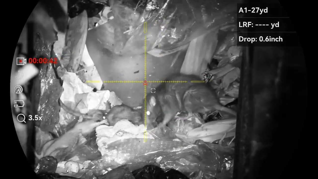 RAT SHOOTING with Airgun and Hik Alpex - YouTube