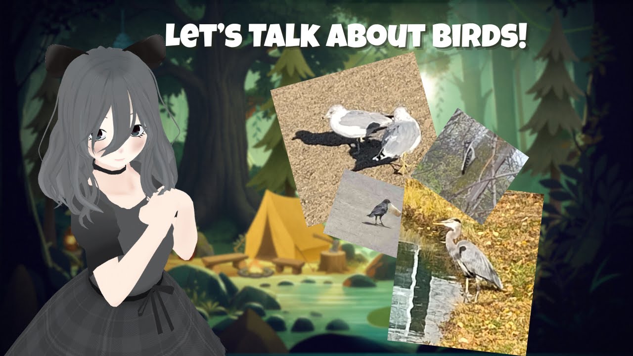 New Hobby obsession| Let's Talk About Birds! - YouTube