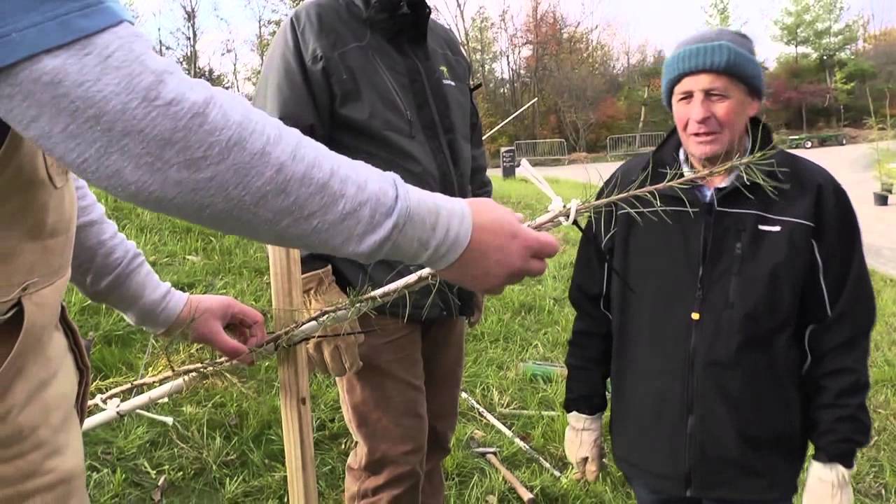 Planting trees - David Nash documentary (Meijer Gardens) - YouTube