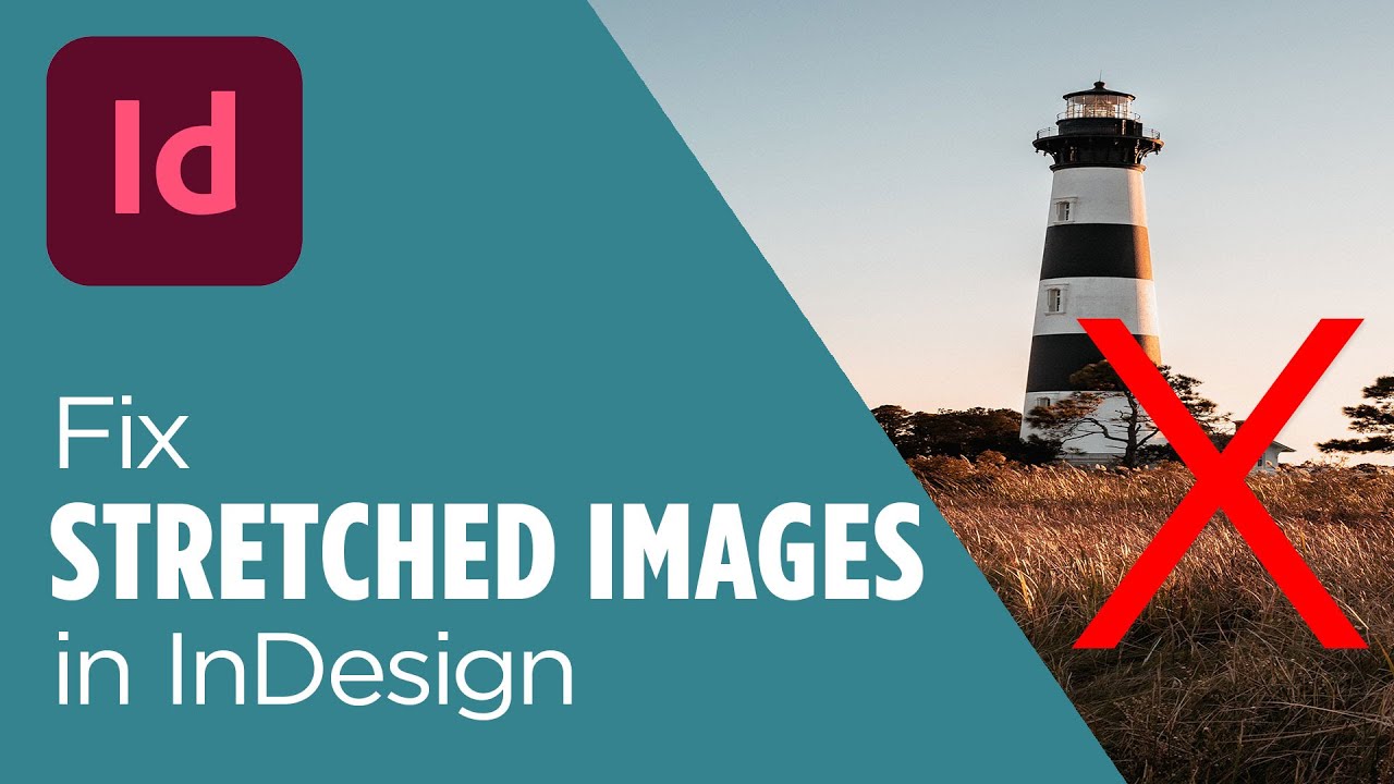 Fix distorted or stretched images in Adobe InDesign - Resize images - Graphic design tutorial ...
