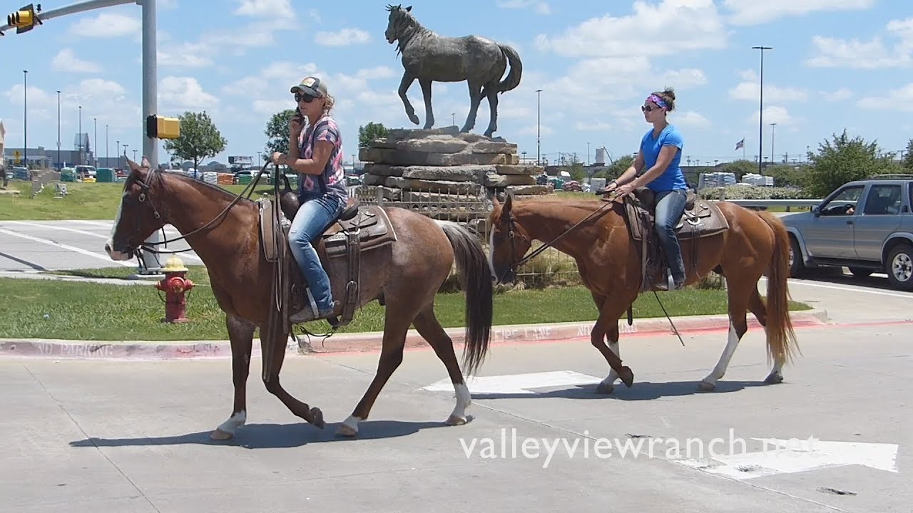 Rj Skipper and Playboys Chula Dual - riding in town! - ValleyViewRanch ...