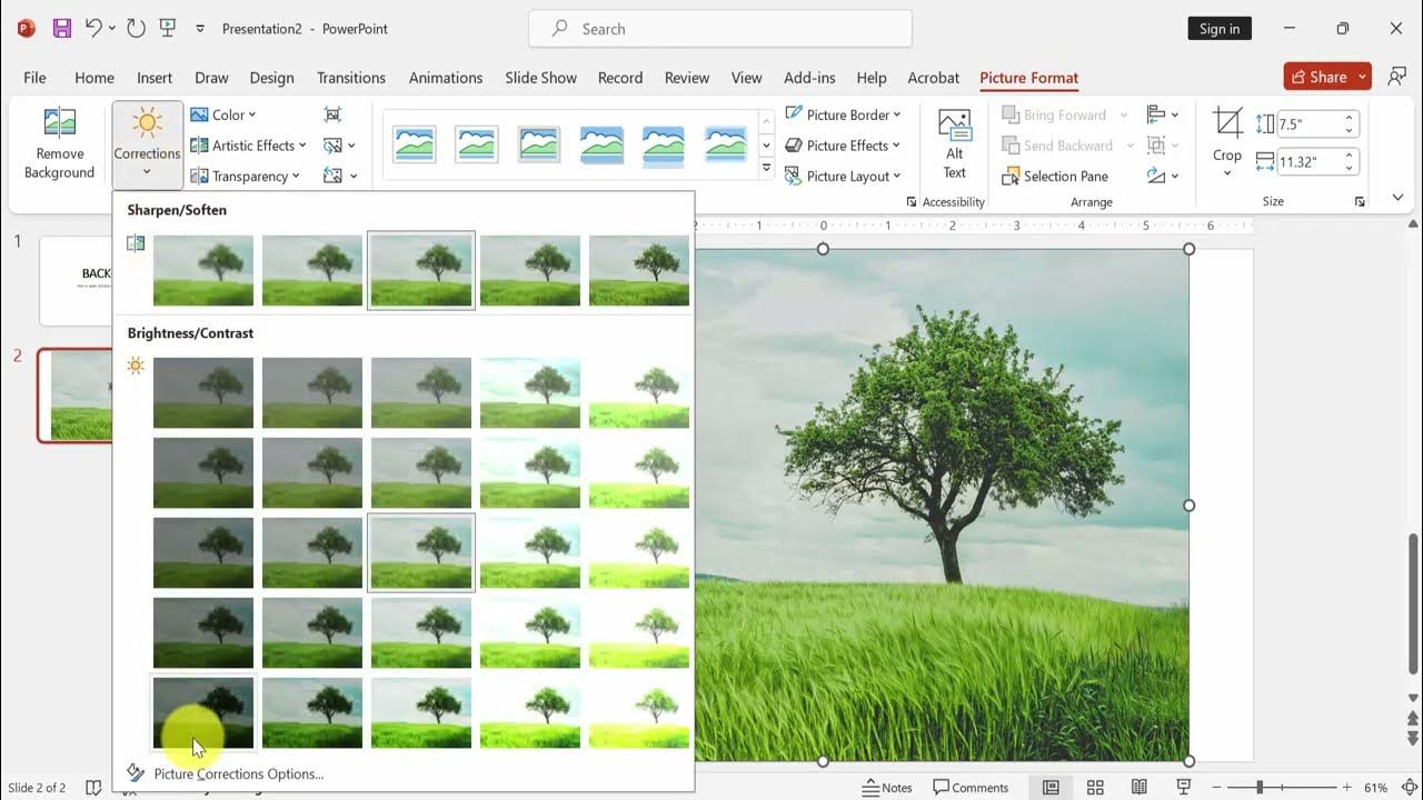 How to apply sharpen 50 correction in PowerPoint - YouTube