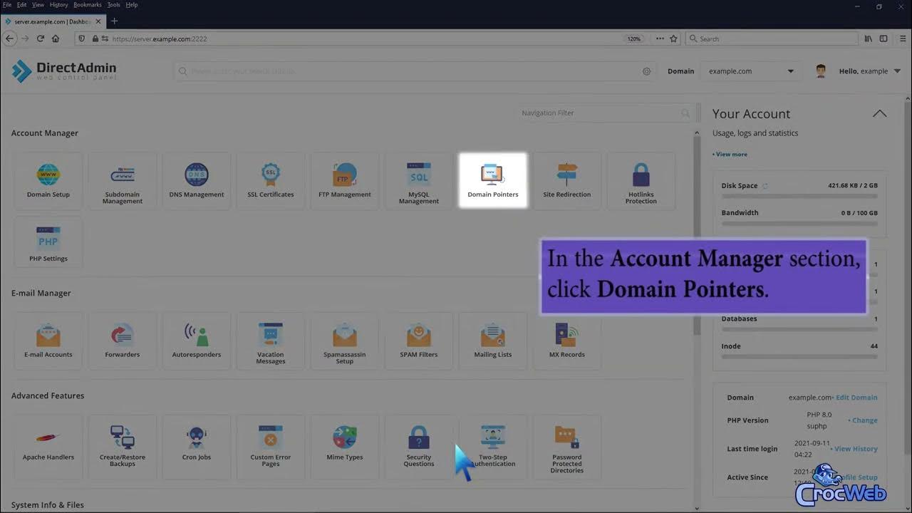 How To Remove Domain Pointer In Directadmin Crocweb Cloud Youtube