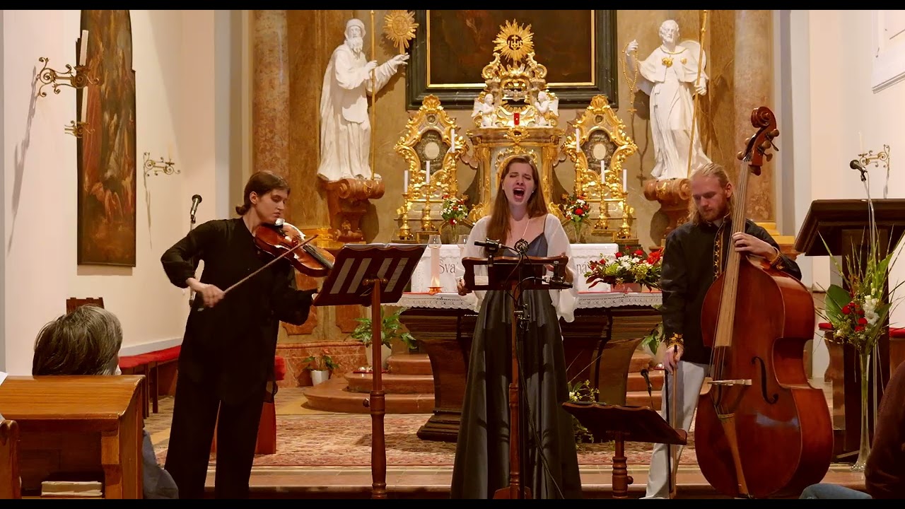 Viennese Tuning Times – Sebastian Brettfeld Double Bass and Violone ...