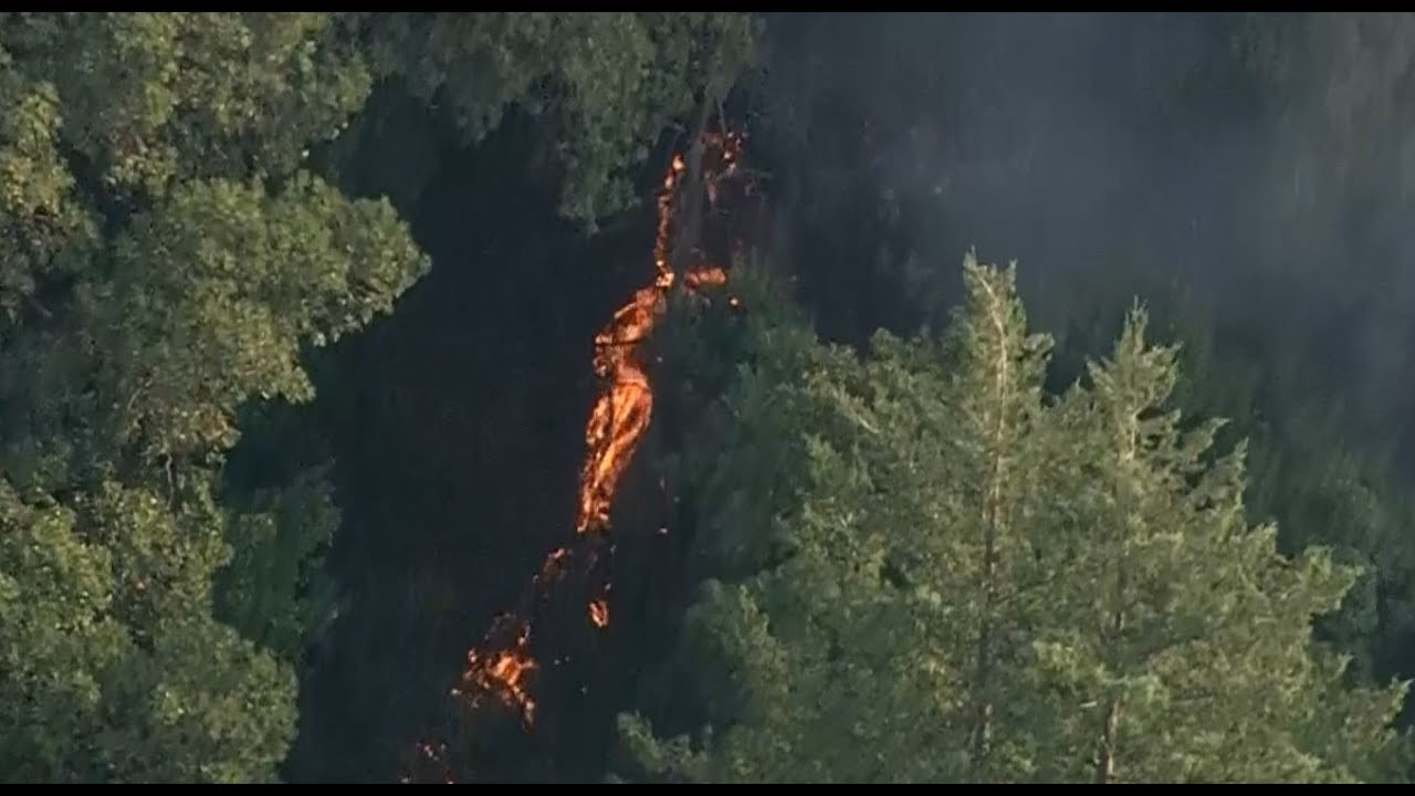 WOODSIDE WILDFIRE: Raw helicopter video of lightning ignited wildfire ...