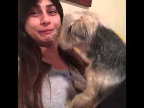 Mia Khalifa's Dog - YouTube