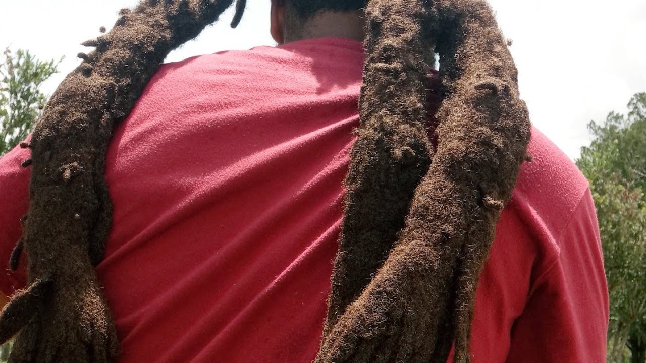 Are My Freeform Dreadlocks Heavy? - YouTube
