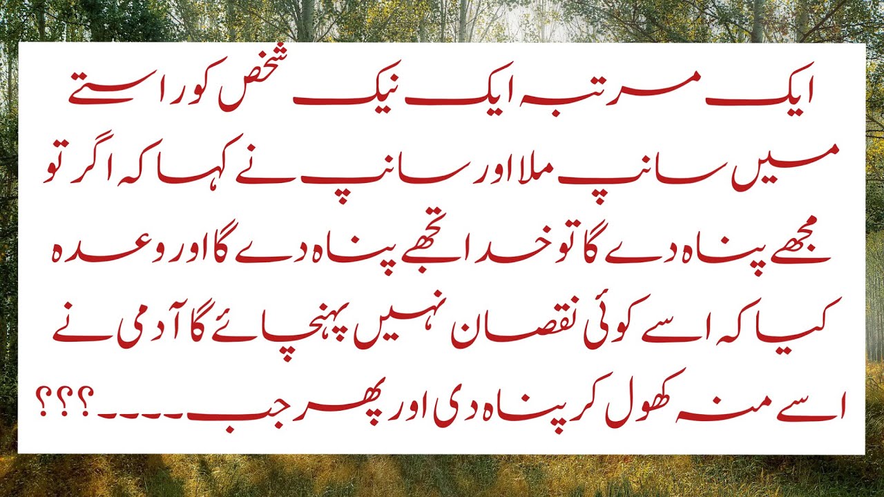 A Pious Man And Snake Naik Shakhs Aur Sanp Ka Waqia Urdu Sky YouTube a-pious-man-and-snake-naik-shakhs-aur-sanp-ka-waqia-urdu-sky-youtube