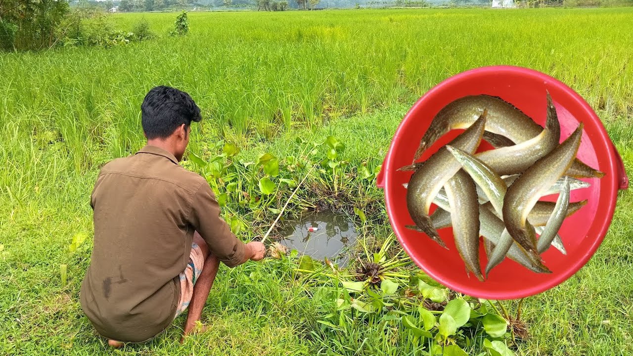 SA Fishing TV | Traditional fishing by hook | Fishing videos | Best ...